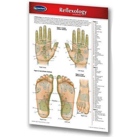 Reflexology Perma Chart Laminated Guide for Holistic Healing